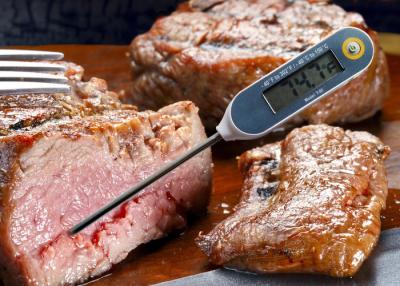 China Small Food Service Thermometer Instant Temperature Thermometer For Kitchen / Grill for sale