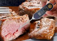 China Small Food Service Thermometer Instant Temperature Thermometer For Kitchen / Grill for sale
