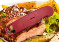 China ABS Plastic Kitchen Probe Thermometer Meat Heat Thermometer 73.5g Net Weight for sale