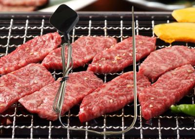China Wireless Bluetooth BBQ Thermometer Stainless Steel Probe 30m Range Android iOS for sale