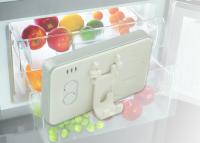 China High Accuracy Digital Refrigerator Freezer Thermometer Large Display White Color for sale