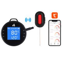 China Wireless WiFi BBQ Grill Meat Thermometer 6 Channels Bluetooth 4.2 2.4 Inch Screen 2000mAh for sale