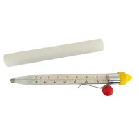 China Glass Tube Instant Read Pen Type Thermometer for Cooking Deep Fry 50-300C for sale
