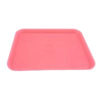 China Surgical Instruments Oral Care Dental Plastic Flat Tray Colorful for sale