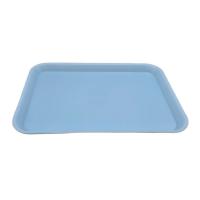 China Surgical Instruments Oral Care Dental Plastic Flat Tray Colorful for sale
