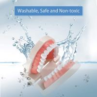 China SJ Dental Typodont Teeth Model Top Quality Demonstration Denture Frasaco Model Orthodontic Teeth Typodont for sale