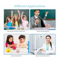 China SJ Dental Typodont Teeth Model Top Quality Demonstration Denture Frasaco Model Orthodontic Teeth Typodont for sale