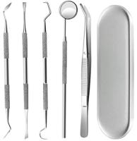 China SJ Dental Instruments Stainless Steel Teeth Cleaner Kit Dentist Scaler Hygiene Set 10pcs Oral Care Dental Hygiene Instruments for sale