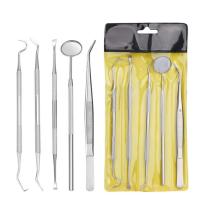 China SJ Dental Instruments Stainless Steel Teeth Cleaner Kit Dentist Scaler Hygiene Set 10pcs Oral Care Dental Hygiene Instruments for sale