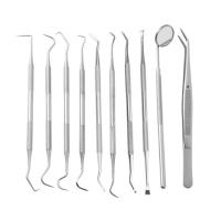 China SJ Dental Instruments Stainless Steel Teeth Cleaner Kit Dentist Scaler Hygiene Set 10pcs Oral Care Dental Hygiene Instruments for sale