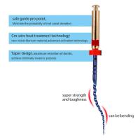 China SJ Dental Engine Use File Niti Super Rotary Heat Activated Endodontic Root Canal Files for sale
