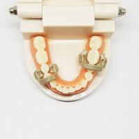 China SJ New Arrival Dental Endodontic Restorative Instruments Dental Molar Rubber Dam Clamps for sale