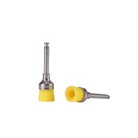 China SJ High quality dental polishing cup colorful latch dental laboratory dental cup style prophy brush oem wholesale for sale