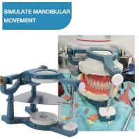 China SJ Dental Lab Equipment Large Adjustable Denture Magnetic Articulator High Quality Dental Articulators for sale