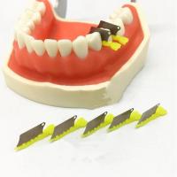 China SJ Disposable Colorful Dental Interprocimal Plastic Wedges Guard with Metal Blade for sale