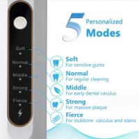 China SJ Ultrasonic Dental Air Scaler Irrigation Handpiece Dental Ultrasonic Scaler Set Perio Scaling with Dentaist Tools for sale
