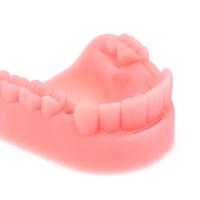 China SJ Teeth Suture Practice Dental Suture Pad Oral Models Gum Suture Model for Student Dental Lab Practice for sale