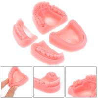 China SJ Teeth Suture Practice Dental Suture Pad Oral Models Gum Suture Model for Student Dental Lab Practice for sale