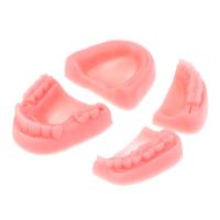 China SJ Teeth Suture Practice Dental Suture Pad Oral Models Gum Suture Model for Student Dental Lab Practice for sale