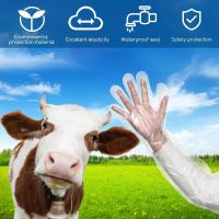 China SJ Veterinary Insemination Rectal Long Gloves Disposable Plastic Full Arm Palpation Gloves for Field Dressing for sale