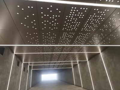 China Indoor Perforated Ceiling Veneer Panels For Commercial Decoration for sale