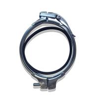 China Carbon Steel or Stainless Steel304 Sturdy Hose Clamps with Normal Corrosion Resistance for sale