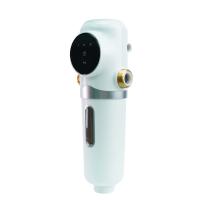 China Wholehouse Pre High Flow Sediment Water Filter With Touch Screen for sale
