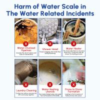 China Home Saltless Water Descaler System with Eco-Friendly Physical Technology for sale