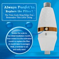 China High Output Revitalizing Shower Filter For Hard Water Shower Head Filter Filtration Reduce Dry Itchy Skin for sale