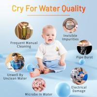 China Whole House Water Filter Sediment Removal System Ensuring Clean Safe Water Throughout Residential Commercial Properties for sale