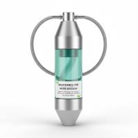China Maintenance-Free Eco-Friendly Whole House Water Descaler with 10,000 Gallons Capacity for Limescale Prevention for sale
