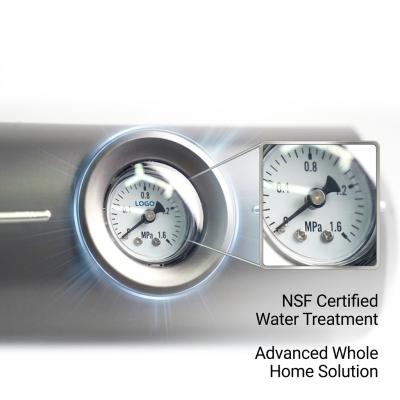 China Brass Whole House Water Descaler 5T/H Flow NSF RoHS Certified for sale
