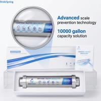 China Maintenance-Free Eco-Friendly Whole House Water Descaler with 10,000 Gallons Capacity for Limescale Prevention for sale