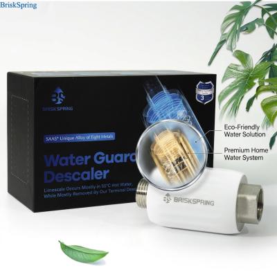 China Ion Polarization Water Descaler with Customizable Fitting Size and Anti-scale Protection for Whole House Water Softening for sale