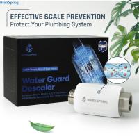 China NSF Certified Compact Water Descaler with 17-23.5L/Min Flow Rate and 0.1-1MPa Operating Pressure for Whole House Use for sale