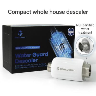 China NSF Certified Compact Terminal Water Descaler with 17-23.5L/Min Flow Rate and 0.1-1MPa Operating Pressure for Whole House Use for sale