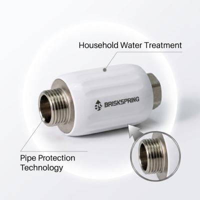 China High Efficiency Energy Saving Water Descaler with SAAS Chips for Pipe Protection and Limescale Prevention in Household Water for sale