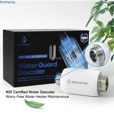 China NSF Certified Terminal Water Descaler Maintenance Free for Water Heater Protection for sale