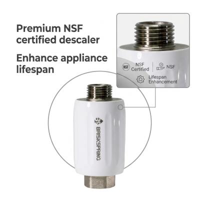 China NSF Certified Premium Mini Size Water Descaler for Bathroom and Kitchen Water Use for sale