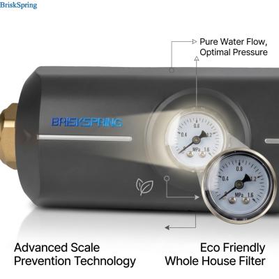 China Eco Friendly Non Toxic ABS Body Anti Scaling Filter Whole House Water Descaler for sale