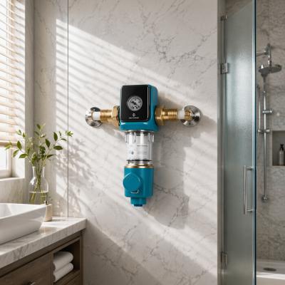 China Reusable 40/300 Micron Heavy Duty Spin Down Sediment Filter for Whole House Water Filtration for sale