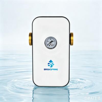 China High-Performance Whole House Central Water Descaler, NSF Certified and Maintenance-Free for sale