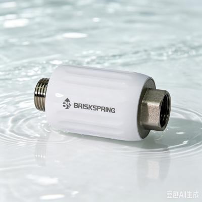China Mini Whole House Water Descaling Guard, Salt-Free, Maintenance-Free System for Scale Prevention and Hard Water Protection for sale