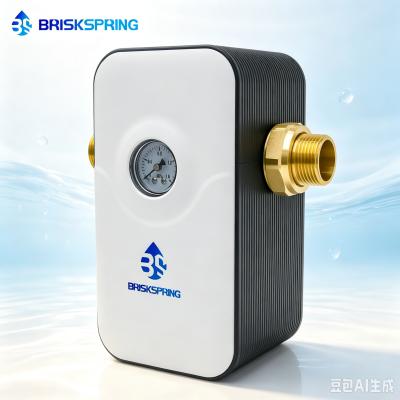 China Maintenance-Free Whole House Water Descaler with 5T/H Flow Rate and NSF Certified Limescale Prevention System for sale