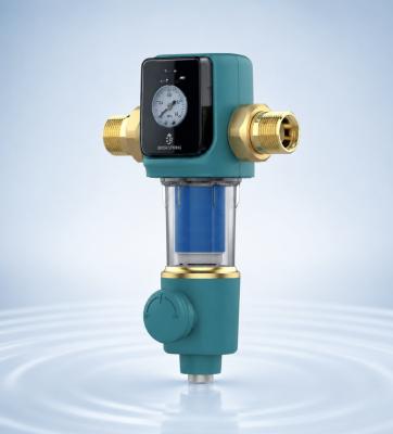 China BriskSpring SQ550B-BS 5 T/H Automatic Siphon Backwash Whole House Water Pre Filter with MSAP+CASO3+KDF55 Media for sale
