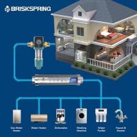 China BriskSpring SQ550B-BS 5 T/H Automatic Siphon Backwash Whole House Water Pre Filter with MSAP+CASO3+KDF55 Media for sale