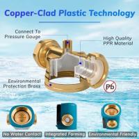 China BriskSpring SQ550B-BS 5 T/H Automatic Siphon Backwash Whole House Water Pre Filter with MSAP+CASO3+KDF55 Media for sale