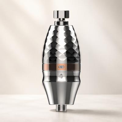 China Water Heater Scale Inhibitor with MSAP Bioactive Technology for 30 Tons Filtration Capacity and 40-50 Microns Accuracy for sale