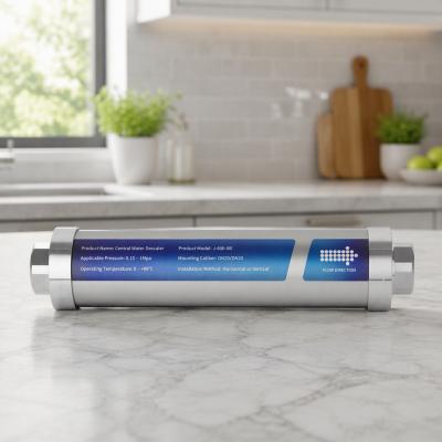 China Whole House Water Descaler with Ion Polarization Technology 4T/H Flow Rate Salt-Free Hard Water Treatment System for sale