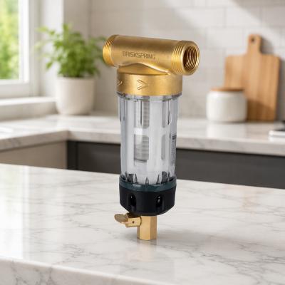 China Whole House Spin Down Sediment Water Pre Filter with 40 Micron Filtration Reusable Design and Food Grade SS316L Mesh for sale